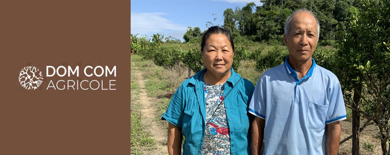 Financement Girardin Agricole de M. VANG TCHU DENIS