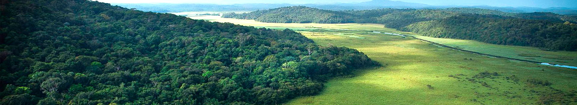 Girardin : Dom Com Agricole financement de M. TCHA CHO